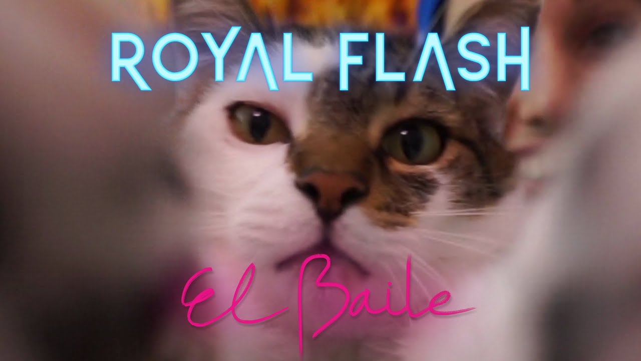 THE ROYAL FLASH PRESENTA EL VIDEOCLIP DE "EL BAILE" - Diario de un Rockero