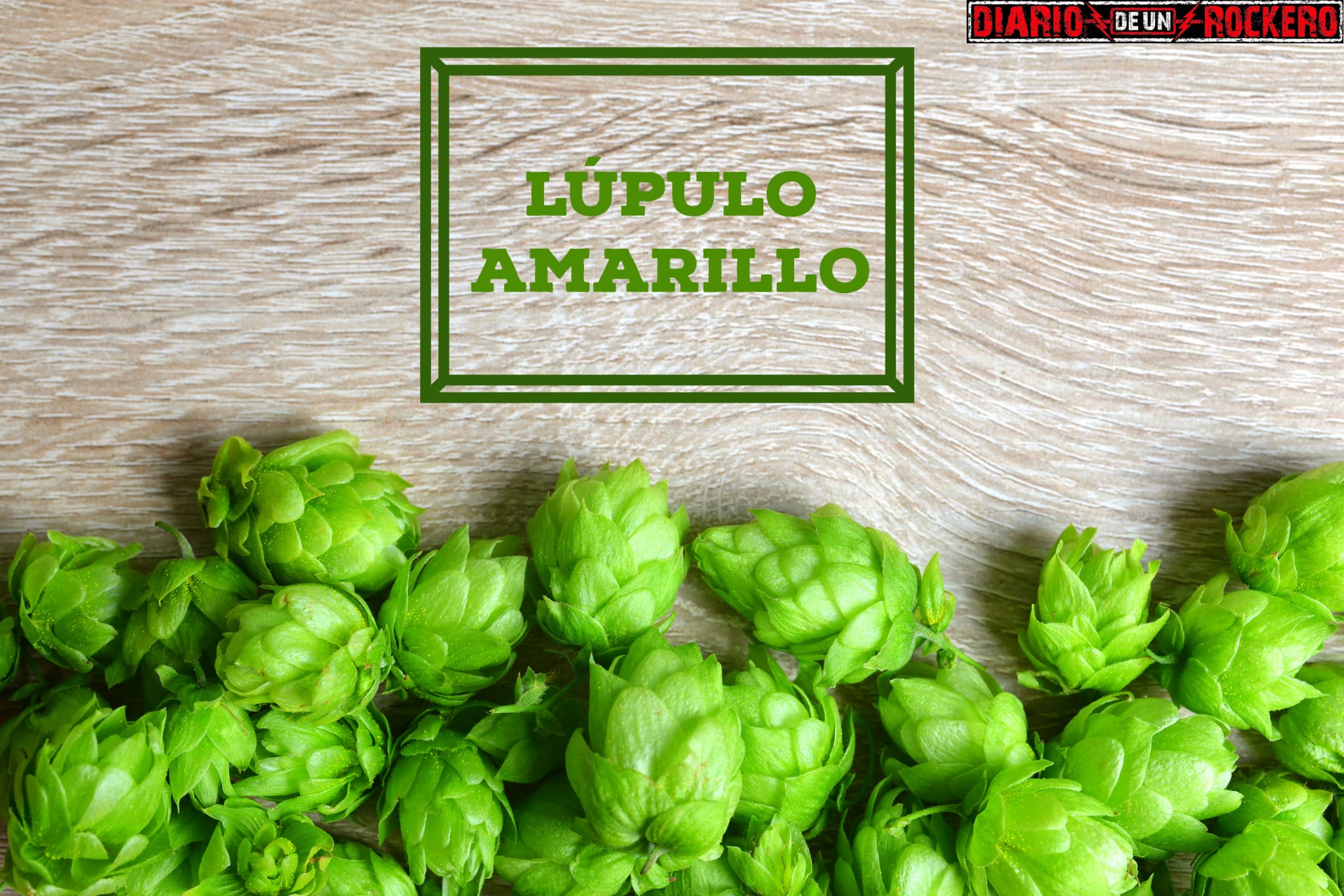 LÚPULO AMARILLO - Diario de un Rockero