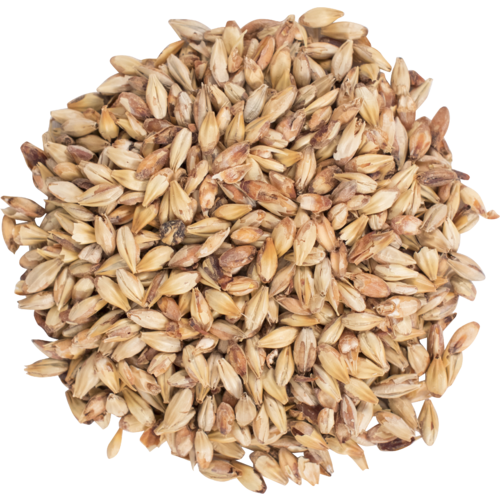 MALTA CARA GOLD: UN INGREDIENTE CLAVE EN LA CERVEZA ARTESANA - Diario ...